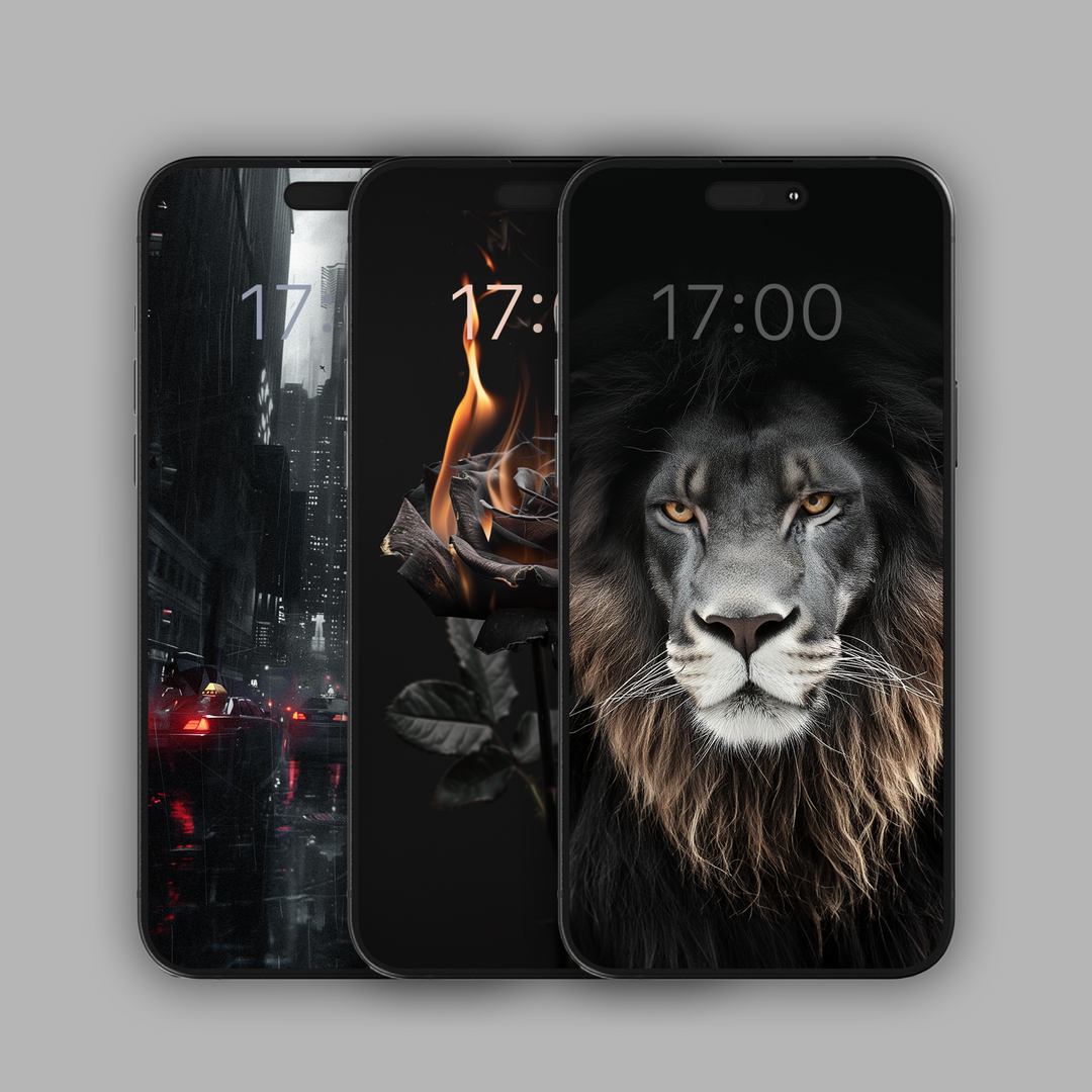 DIGITAL – Blvck Paris - Japan