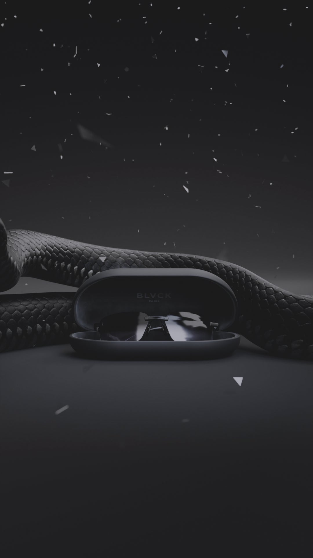 SUNGLASS 'Shades' – Blvck Paris - Japan